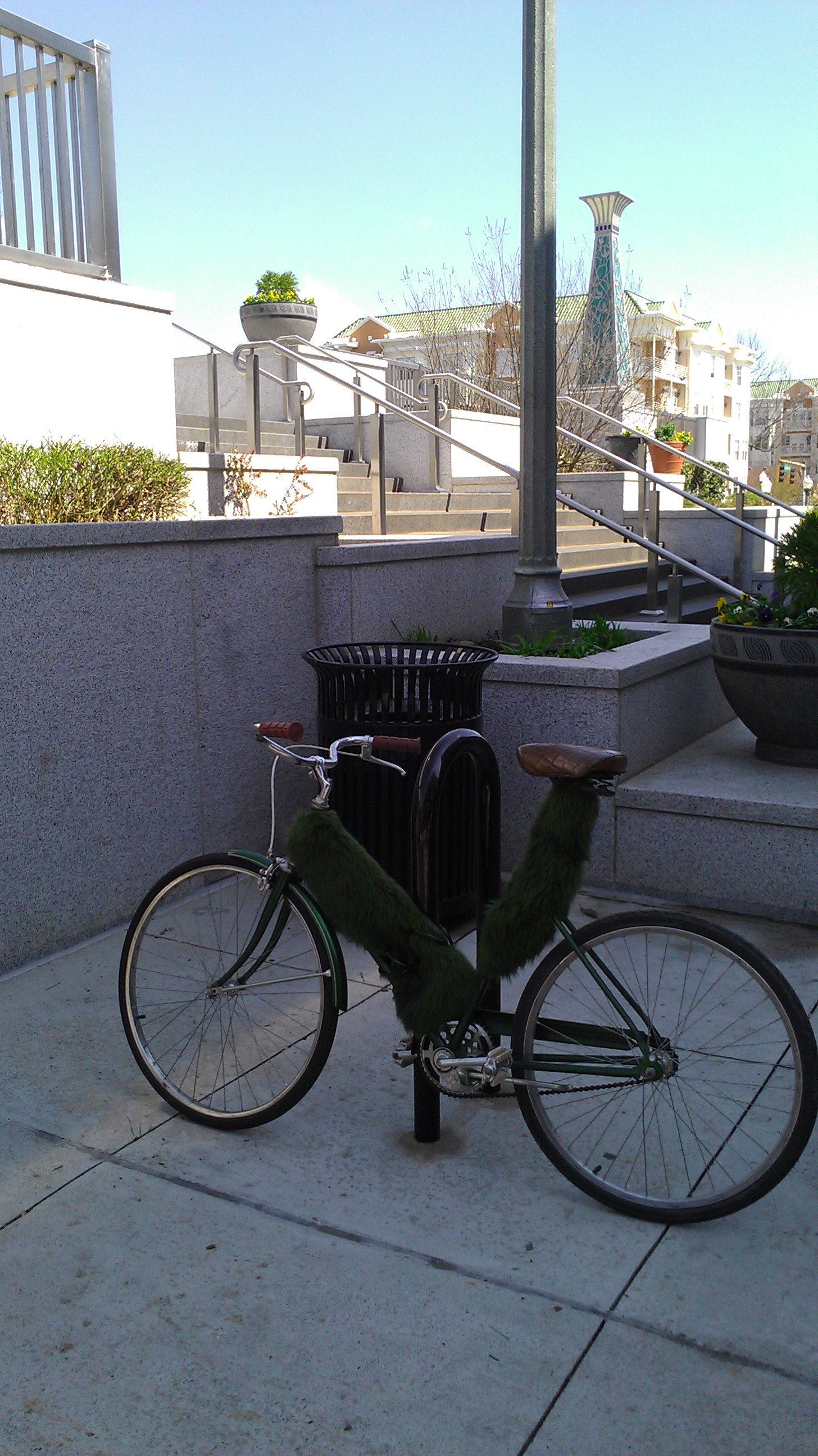 Bike on the Street | Decatur Parks & Recreation