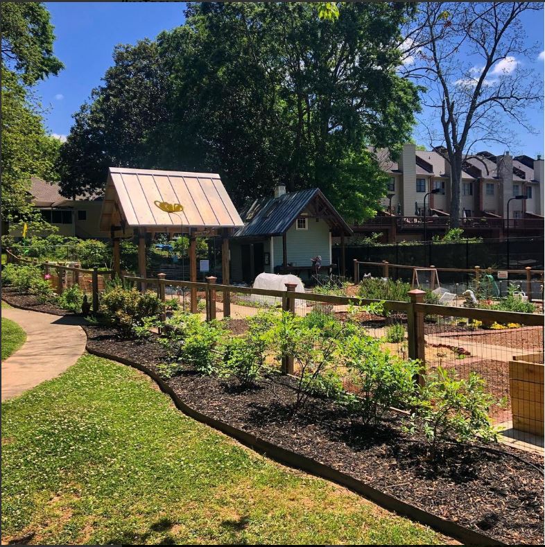 Spring is Blooming at Scott Park Community Garden | Decatur Parks ...